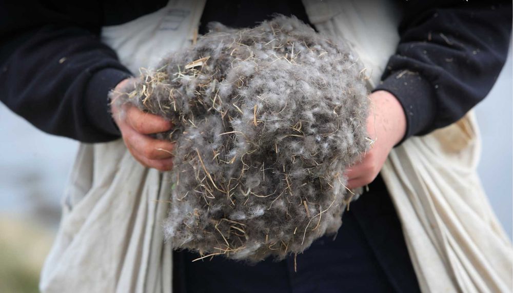 Puf de rata 90%. Pene de rata 10%. Pt. perna, pilota, canapea, geaca ...