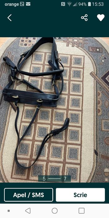 Ham trasura ponei si cai mici Bistrita • OLX.ro