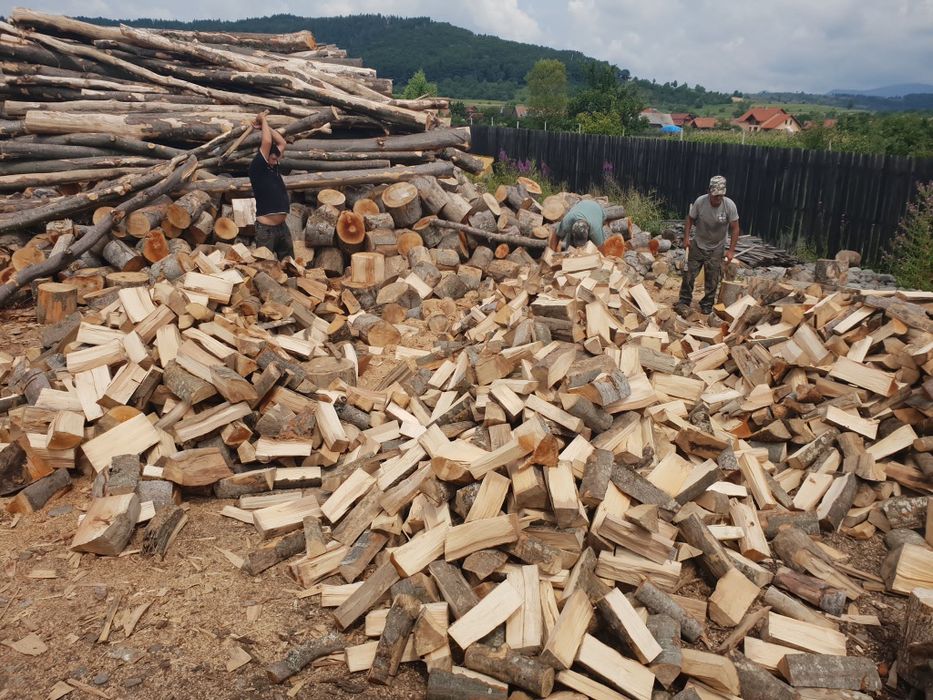 Lemne lemn de foc gata tăiate și crăpate transport inclus Targu-Mures ...