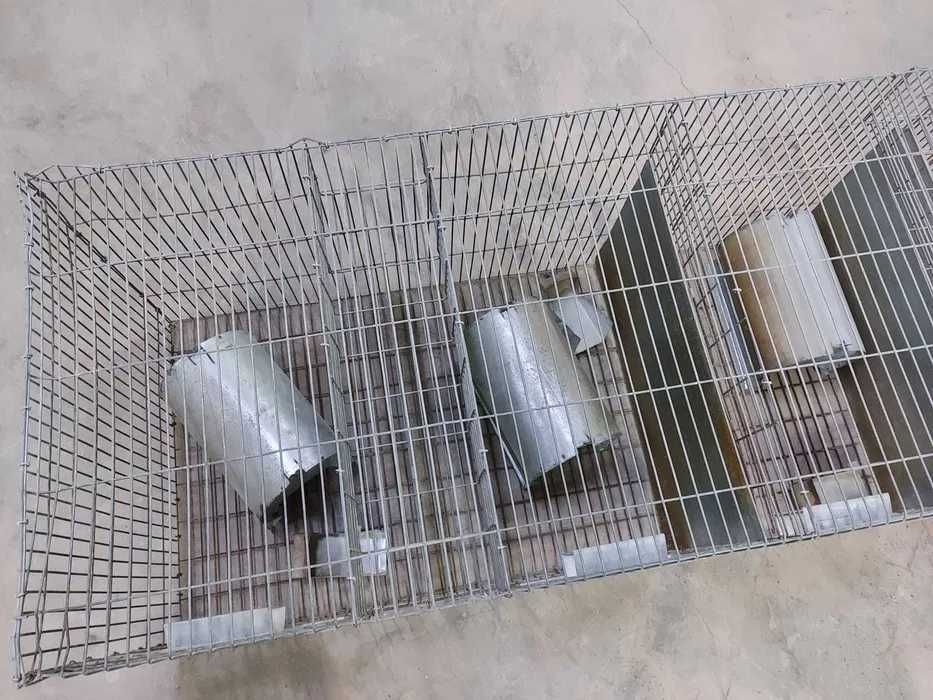 Cuști rozatoare - sinsila, iepuri Targu Frumos • OLX.ro