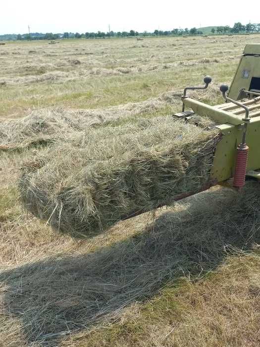 LIvram la comanda/Baloti Fan/Lucerna.Drepunghiulari sau rotunzi Poieni ...