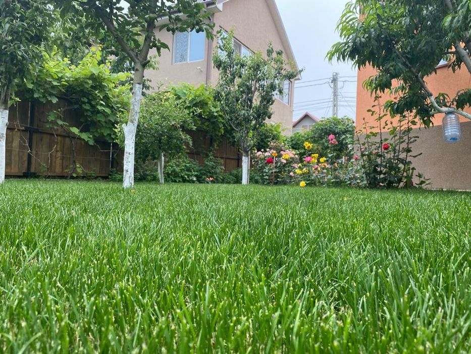 Gazon Role /montam Constanta • OLX.ro