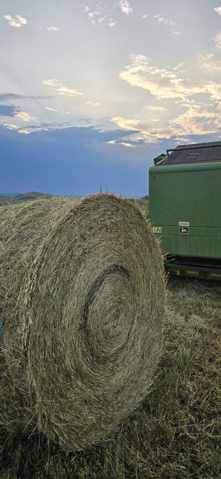 Baloti de lucernă și fan rotunzi aproximativ 200 bucăți Bistrita • OLX.ro