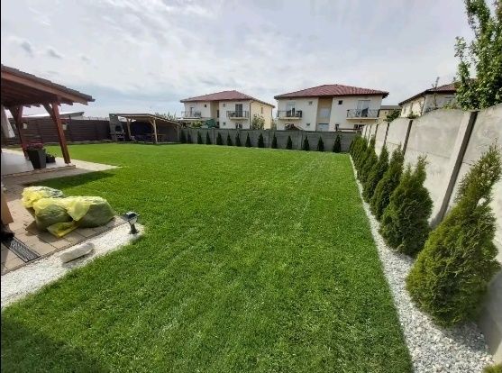 Gazon rulou Însămânțare Pregătirea Popesti-Leordeni • OLX.ro