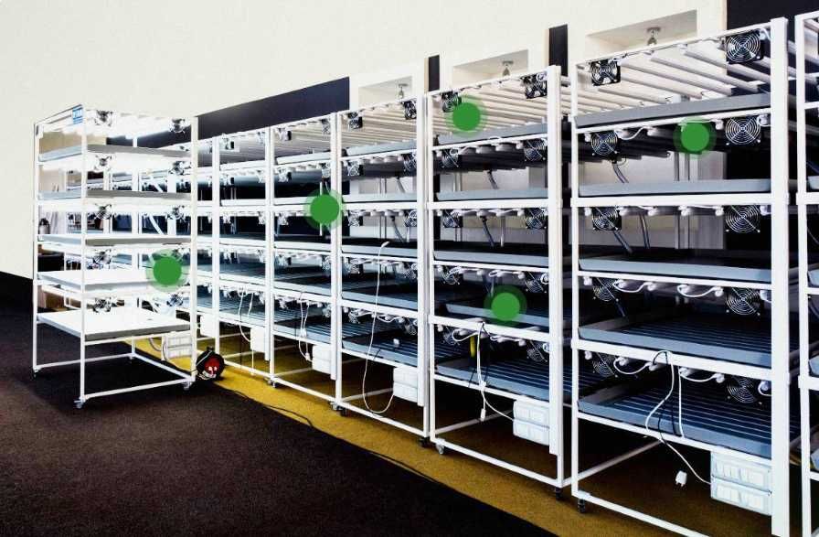 MicroSera MicroPlante Microgreens Adjud • OLX.ro