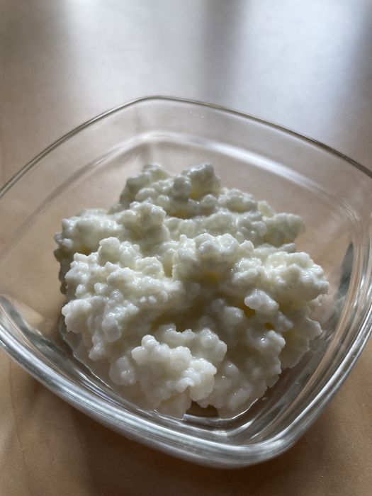 ciuperca kefir de vanzare ' Anunturi ' OLX.ro