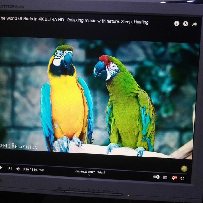 Monitor LG Flatron L1915S-19" (48 cm) Bucuresti Sectorul 3 • OLX.ro