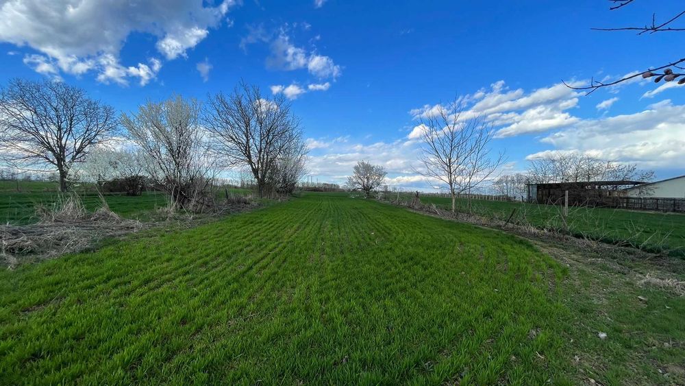 CASA SI TEREN DE VANZARE Lipia-Gruiu- fara intermediari Lipia • OLX.ro