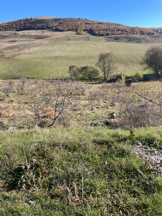 Vand teren intravilan 1000mp cu toate utilitatiile in Salicea jud Cluj ...