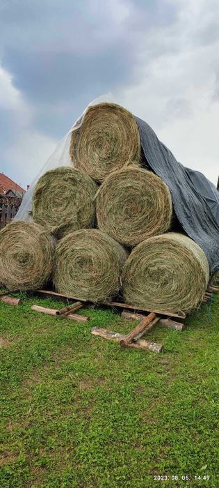 Baloti de fân de vanzare Valea Stramba • OLX.ro