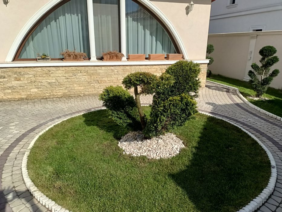 Amenajare Profesionala Gradini si Spatii Verzi Ilfov Pantelimon • OLX.ro