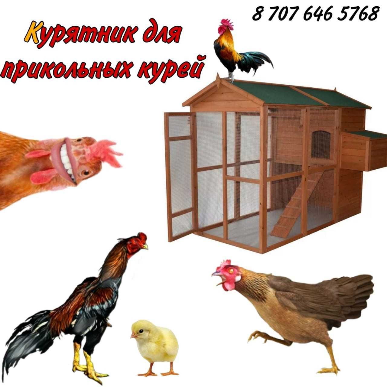Курятник ЛЮБОЙ СЛОЖНОСТИ Тауык Вольер Курей и Петух Клетка Домик Гуси ...