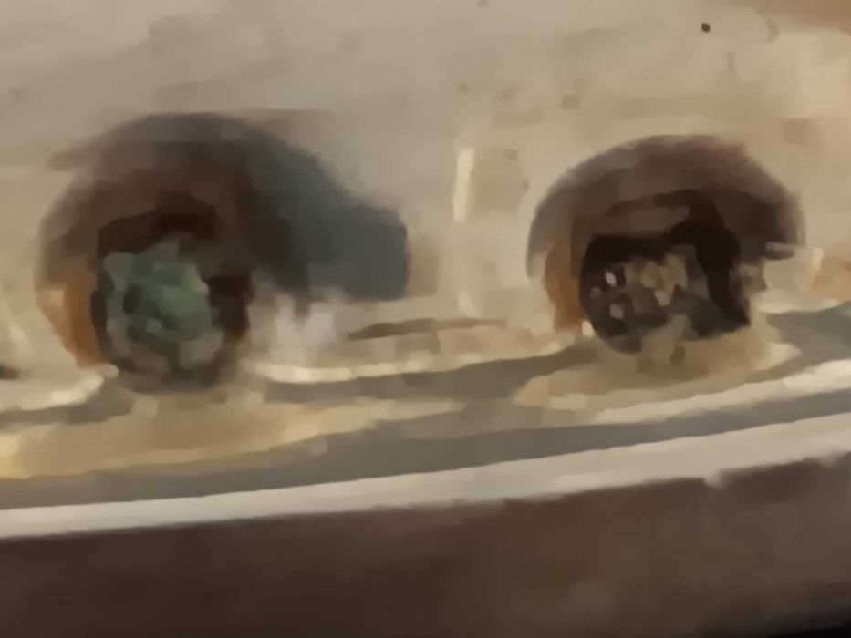 Ceainic si fructiera argint diana 1437 gr Timisoara • OLX.ro