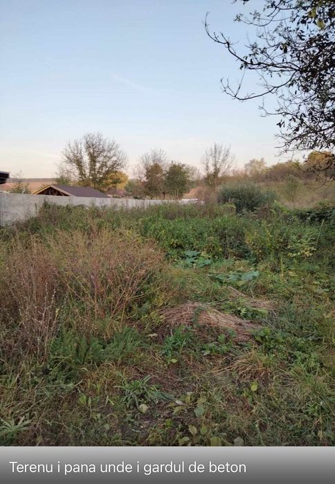 Casa Dâncu Mare Calan Hunedoara • OLX.ro