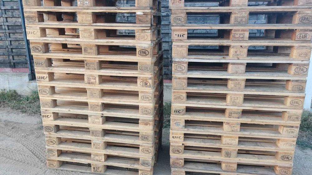 Vand paleti Euro Oradea • OLX.ro