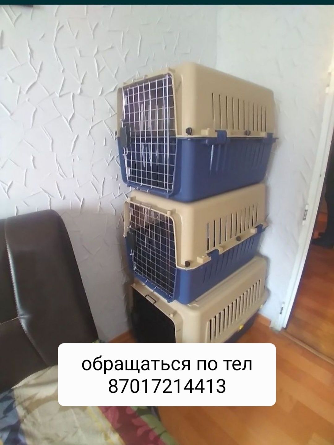 Переноски для животных: 30 000 тг. - Собаки Шымкент на Olx