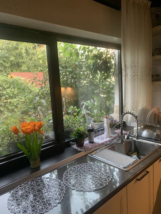 Restaurant cantina si casa Braila • OLX.ro