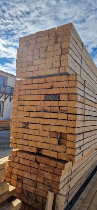 Scândura rasinoase preț exceptional Panic • OLX.ro