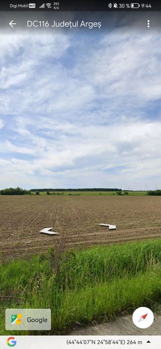 20 Ha Padure stejar la 10 km de Pitești Oarja • OLX.ro