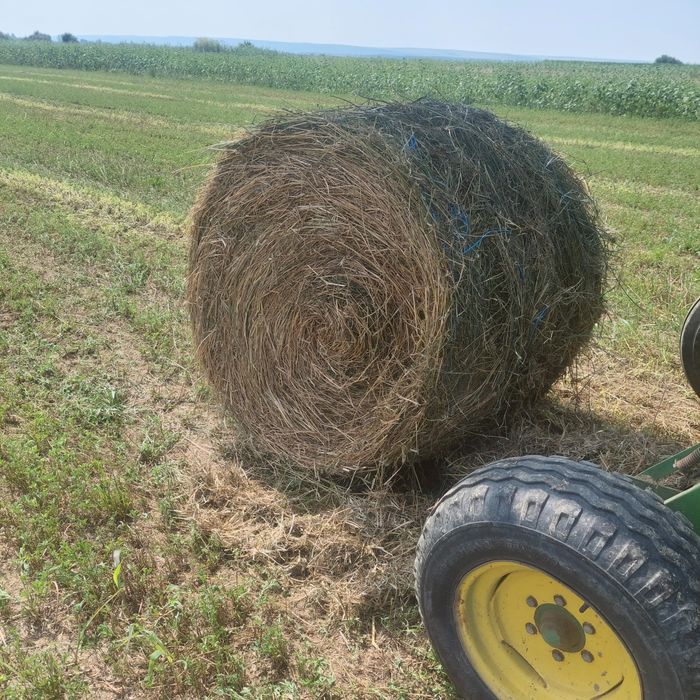 Baloti rotunzi de lucerna cu fan coasa 1 și 2 Ostroveni • OLX.ro