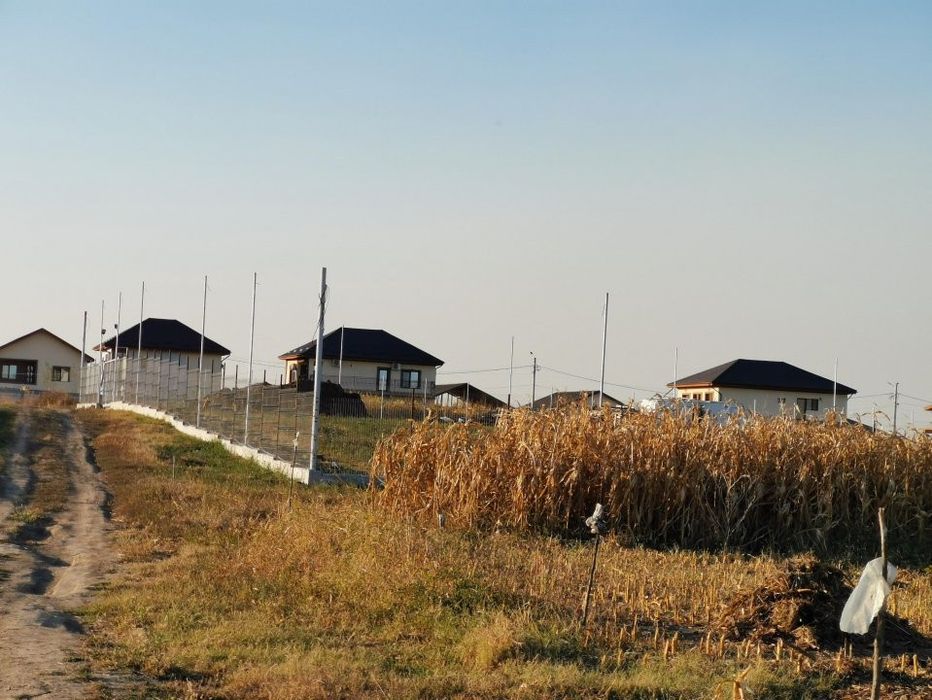 Teren Posta Cernica ilfov 6700mp intravilan zona de casa lângă padure ...