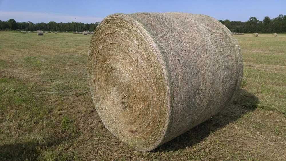 Servicii balotat fan, paie, lucerna, porumb (Presa balotat Krone 2020 ...