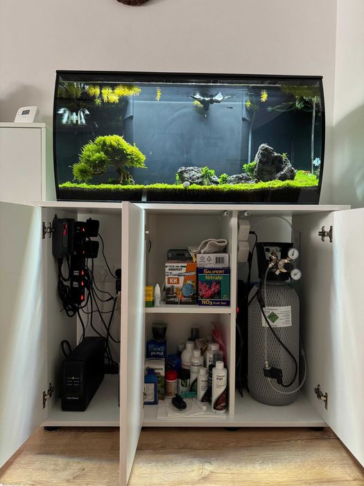 Acvariu stil Iwagumi, high tech, complet echipat + Stand si BONUSURI Sibiu • OLX.ro