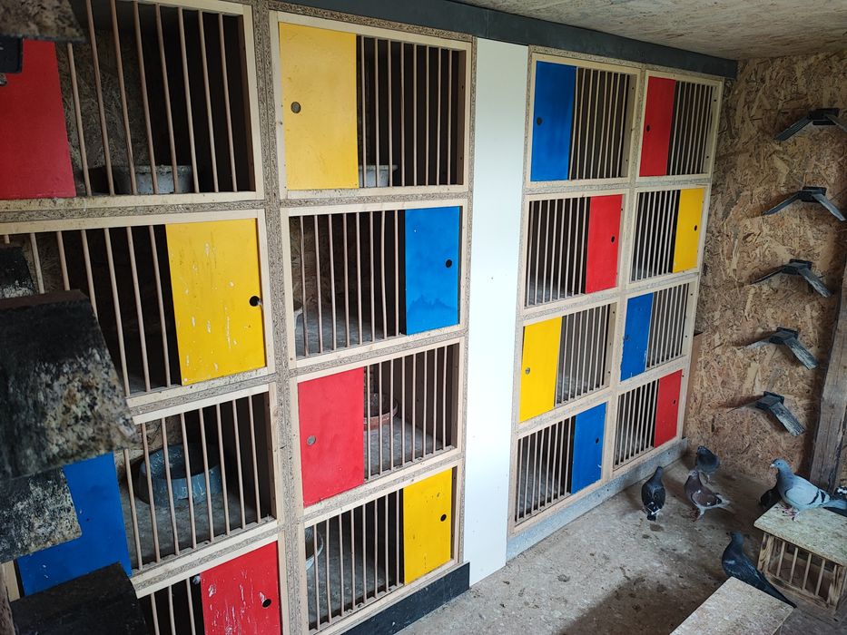 Vând 2 picioare boxe porumbei Turda • OLX.ro
