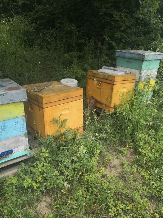 Stupi poliuretan Faro Stup Cluj-Napoca • OLX.ro