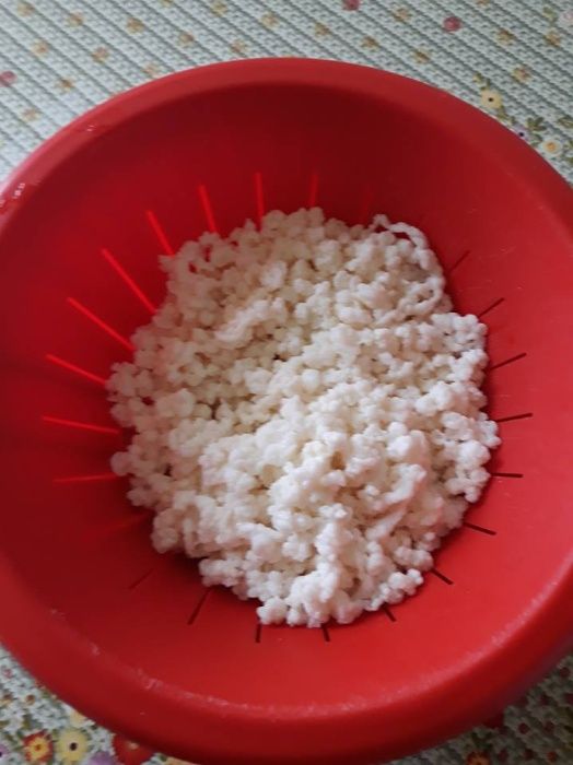 Chefir Ciuperca Tibetiana Targu-Mures • OLX.ro