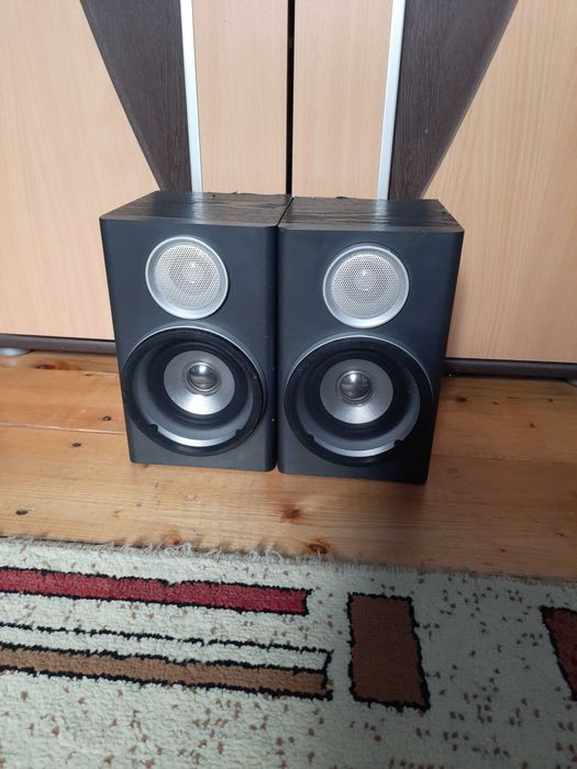 Boxe 2 cai Tevion Zarnesti • OLX.ro