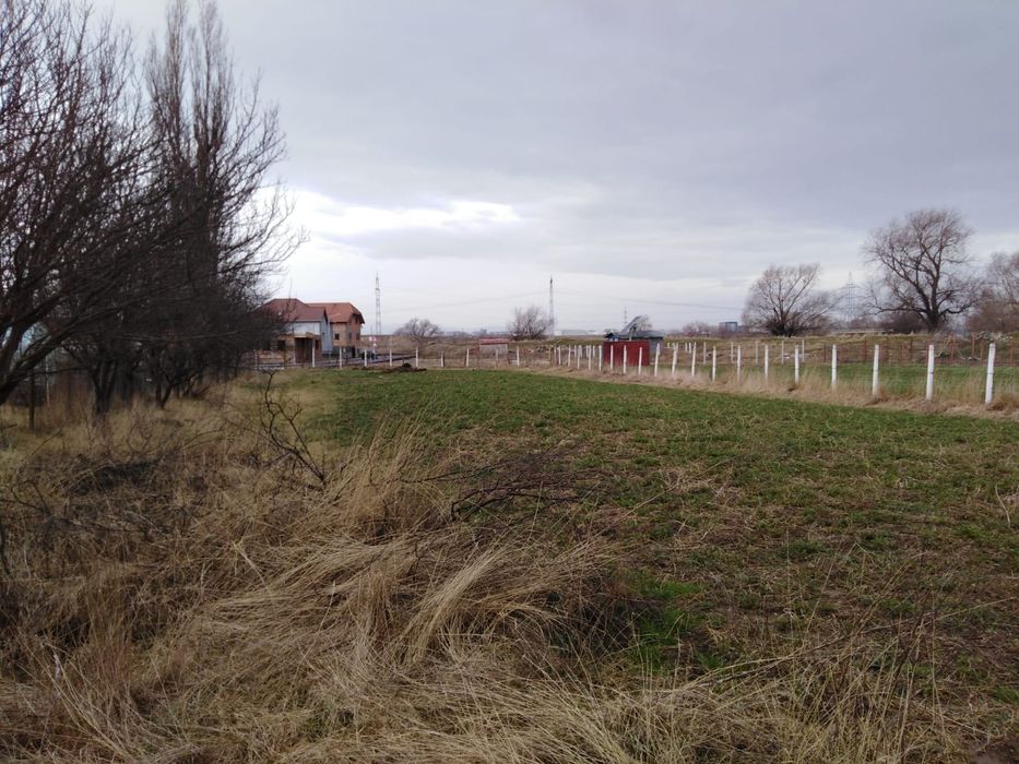 Teren construcții - sat Bungard Bungard • OLX.ro