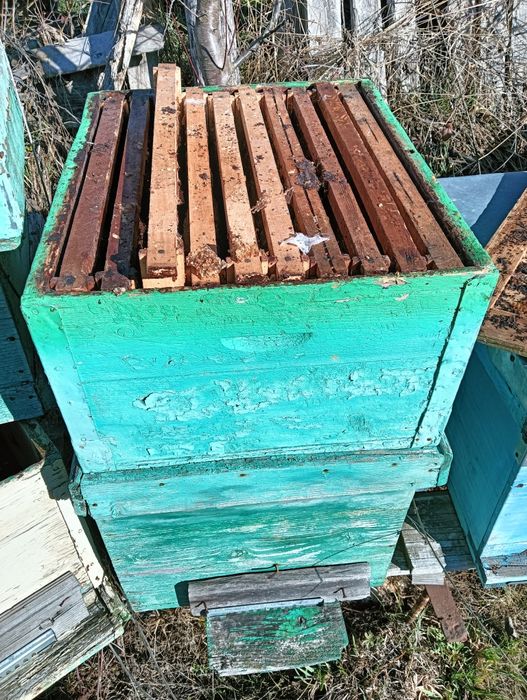 Stupi si rame folosite Parlagele • OLX.ro