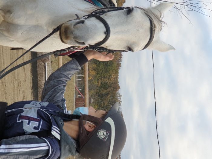 Echitatie Bucuresti la HOBBY LAND Ranch. Ganeasa • OLX.ro