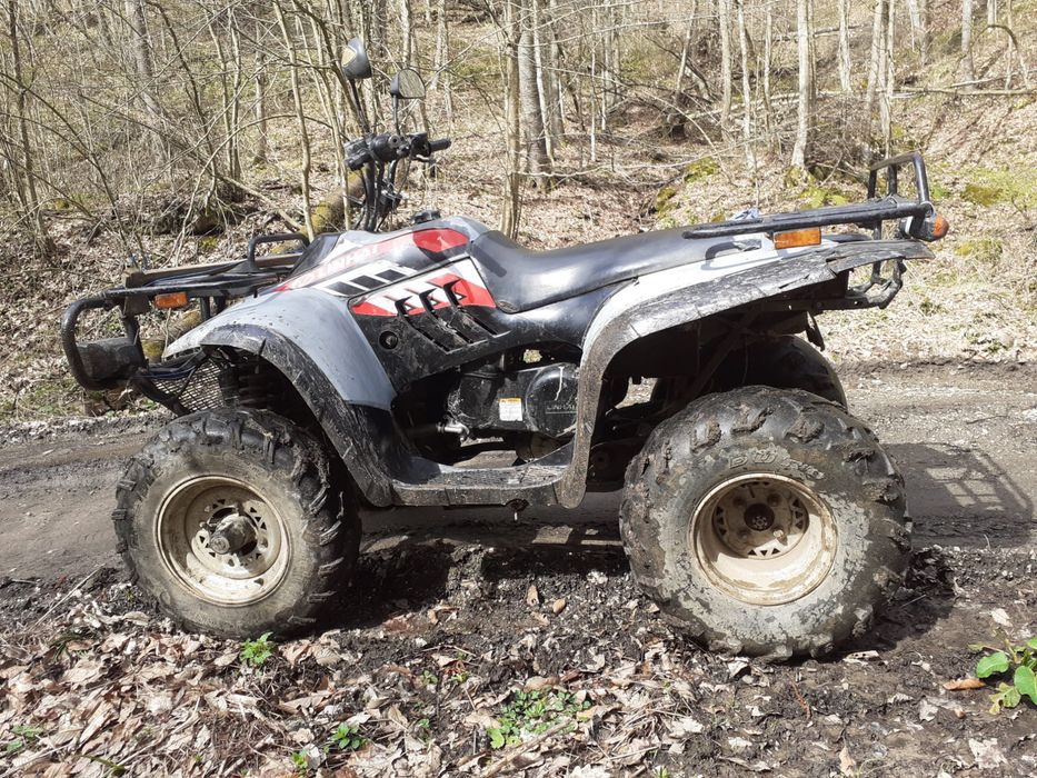 Atv. linhai 300 Arad • OLX.ro