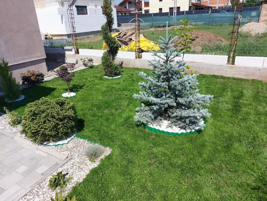 Gazon rulou se diferite tipuri/însămânțare Mangalia • OLX.ro