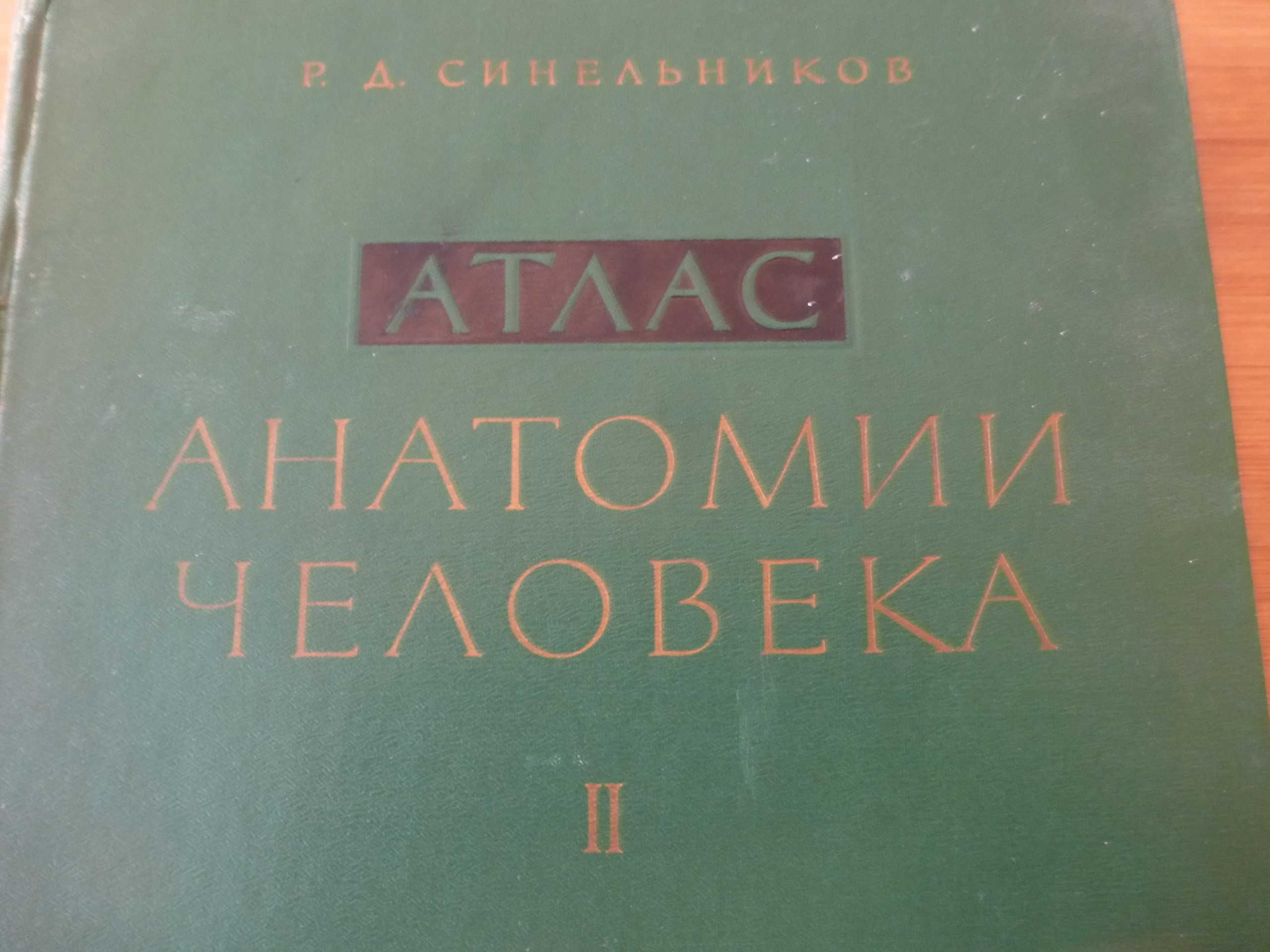 Атлас Анатомия на човека том 2 Синелников гр София Лозенец • Olx Bg