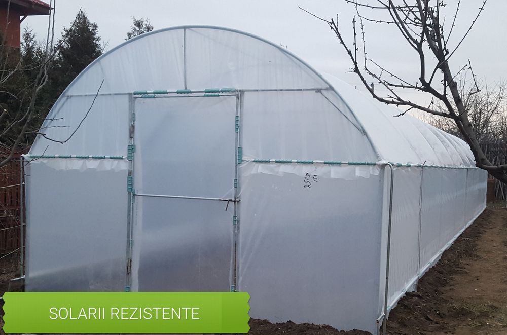 Solarii Rezistente Baleni-Sarbi • OLX.ro