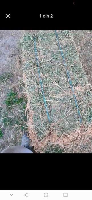 Baloti lucerna coasa 3 cu transport la domiciliu calitate extra Simand ...