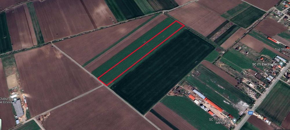 Teren intravilan Dascalu/Ilfov 6170 MP2 Dascalu • OLX.ro