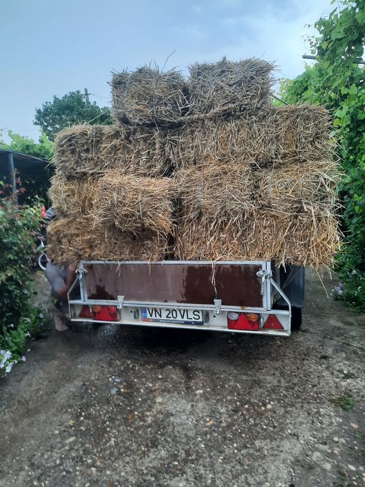 Vand baloti de paie Balesti • OLX.ro