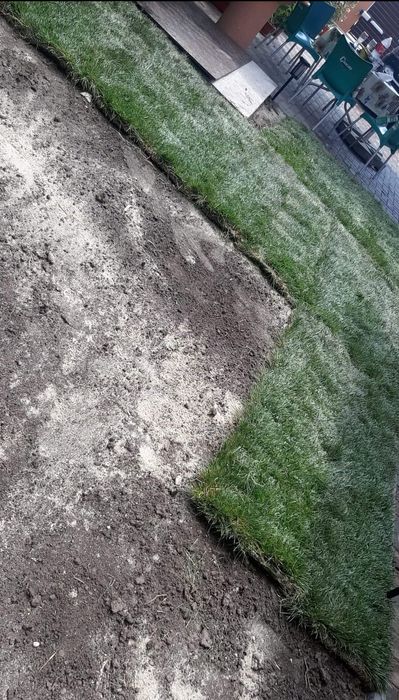 Gazon natural și artificial,montaj Craiova • OLX.ro
