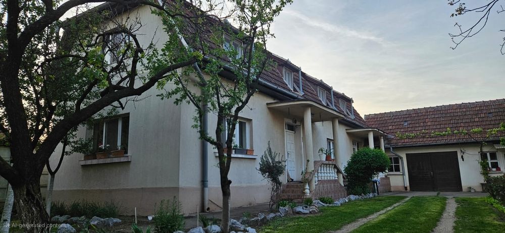 Casă de vânzare în Sânmartin, Bihor – Lângă Băile Felix Sanmartin • OLX.ro