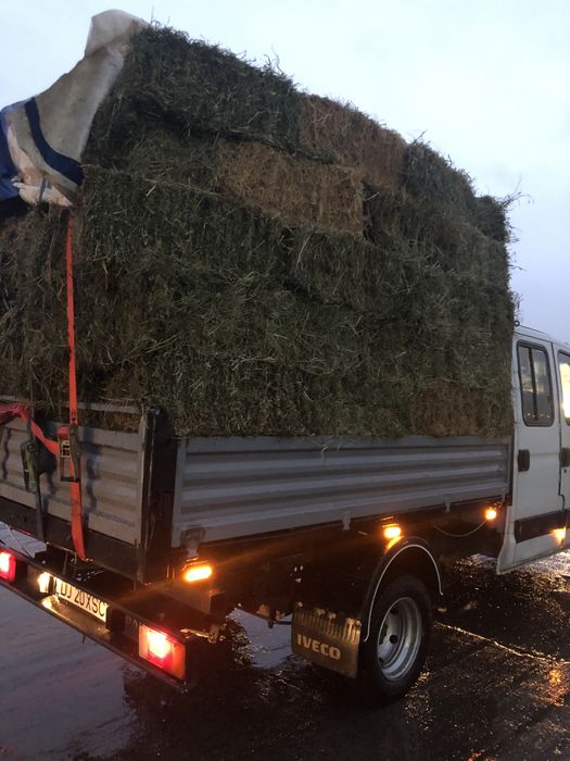 Baloti de lucerna si fan Craiova • OLX.ro