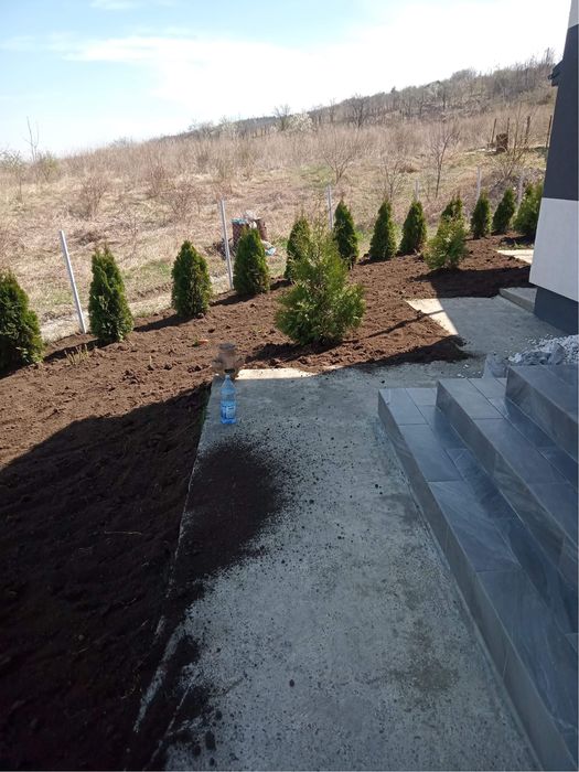 Amenajari Gradini ,curatare , dus gunoi etc Pamant Negru si Mranita ...