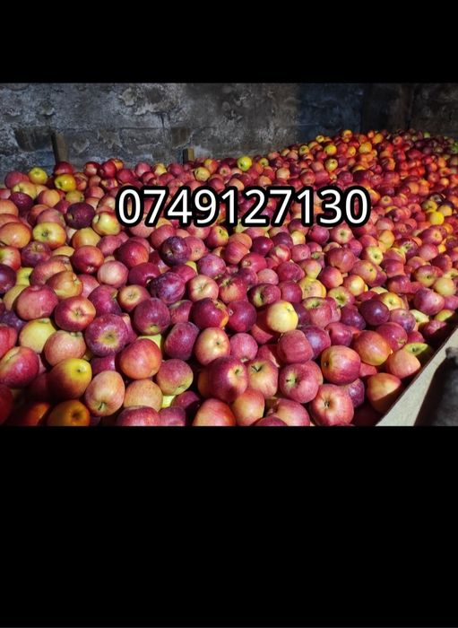 Vând mere de suc și țuică și pere de industrie comuna Boteni Boteni ...