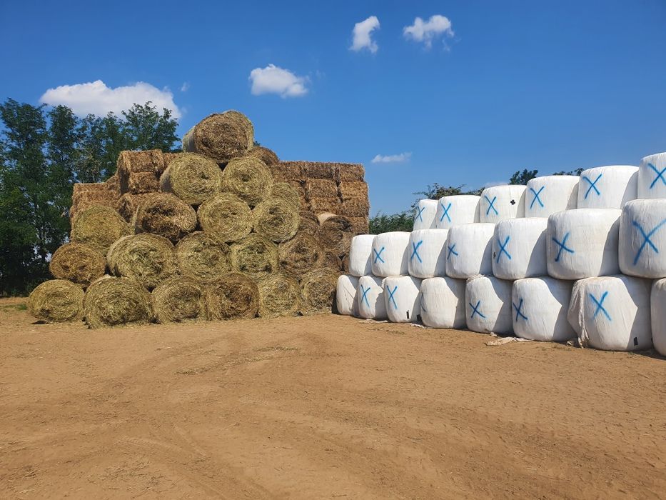 Baloti rotunzi si dreptunghiulari paie,orzoaica,siloz porumb infoliat ...