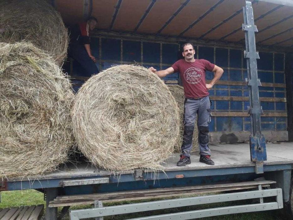 LIvram la comanda/Baloti Fan/Lucerna.Drepunghiulari sau rotunzi Poieni ...