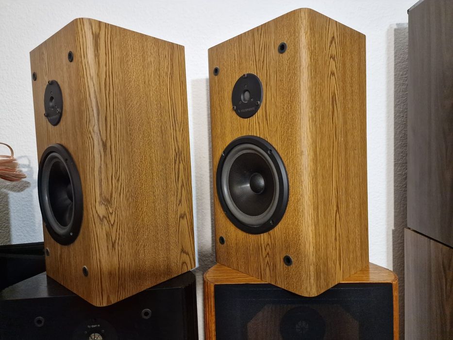 Boxe infinity RS 3001 ( kappa,sm,technics,akai,sony,saba) Targoviste ...