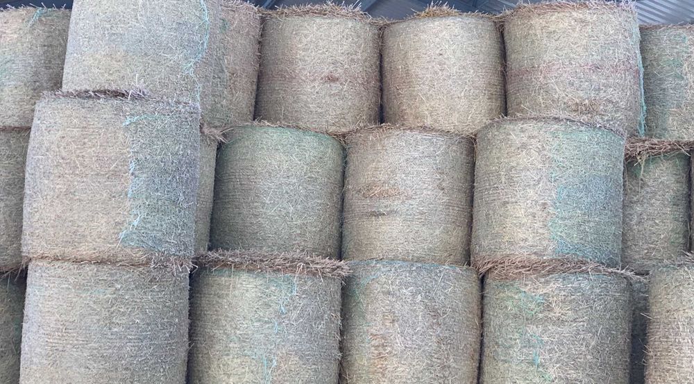 Baloti de lucerna la kg sau pe bucata Boiu • OLX.ro